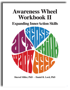 The Awareness Wheel – The Tool for Mapping Issues
